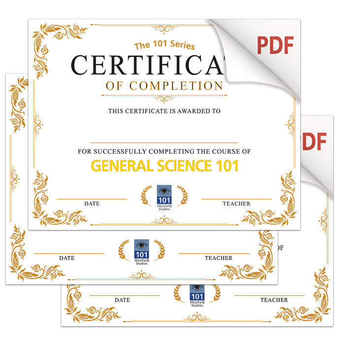 The 101 Shop – The 101 Series